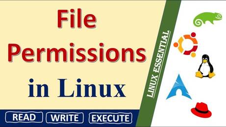 How to Change the Permissions of Files and Directories in Ubuntu ...