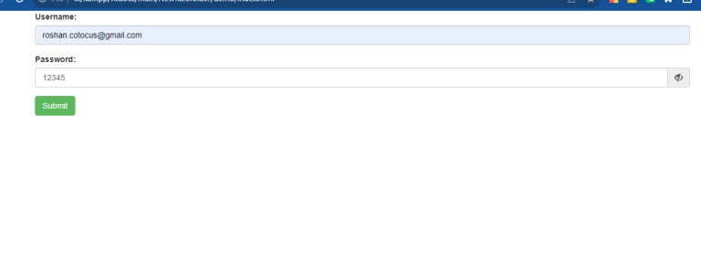 Show or Hide Toggle Password Input Field with Example - DataOps Redefined!!!
