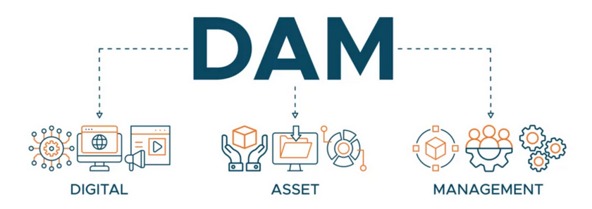 Efficient Asset Management: The Right Way to Set Up a DAM System ...